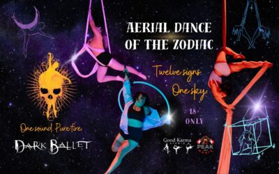 Aerial Dance of the Zodiac - Good Karma Studio